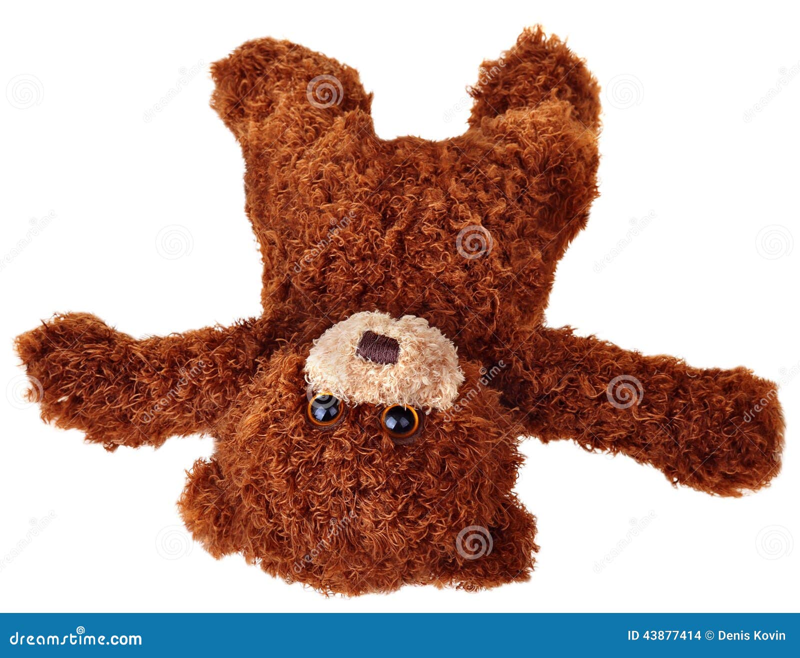 308 Teddy Bear Falling Photos - Free & Royalty-Free Stock Photos from ...