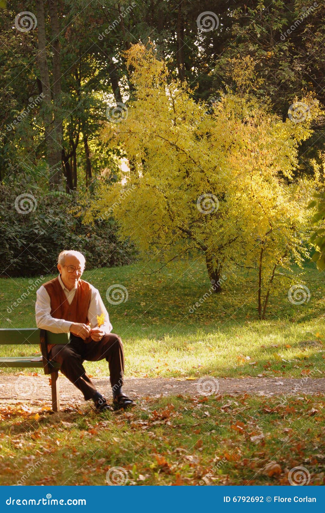 Falling in time stock photo. Image of autumn, forest, trees - 6792692