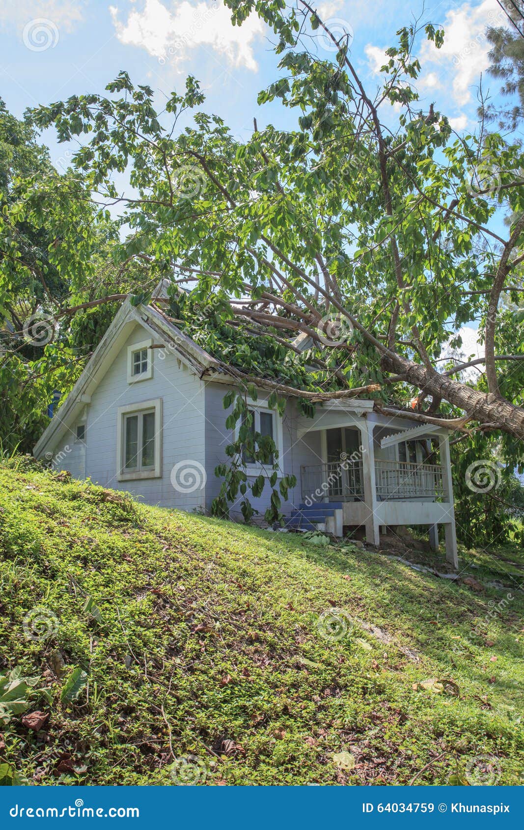 Falling Tree After Hard Storm On Damage House Royalty-Free Stock ...
