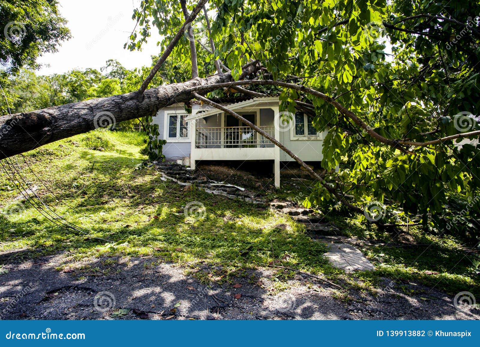 Falling Tree after Hard Storm on Damage House Stock Photo - Image of ...
