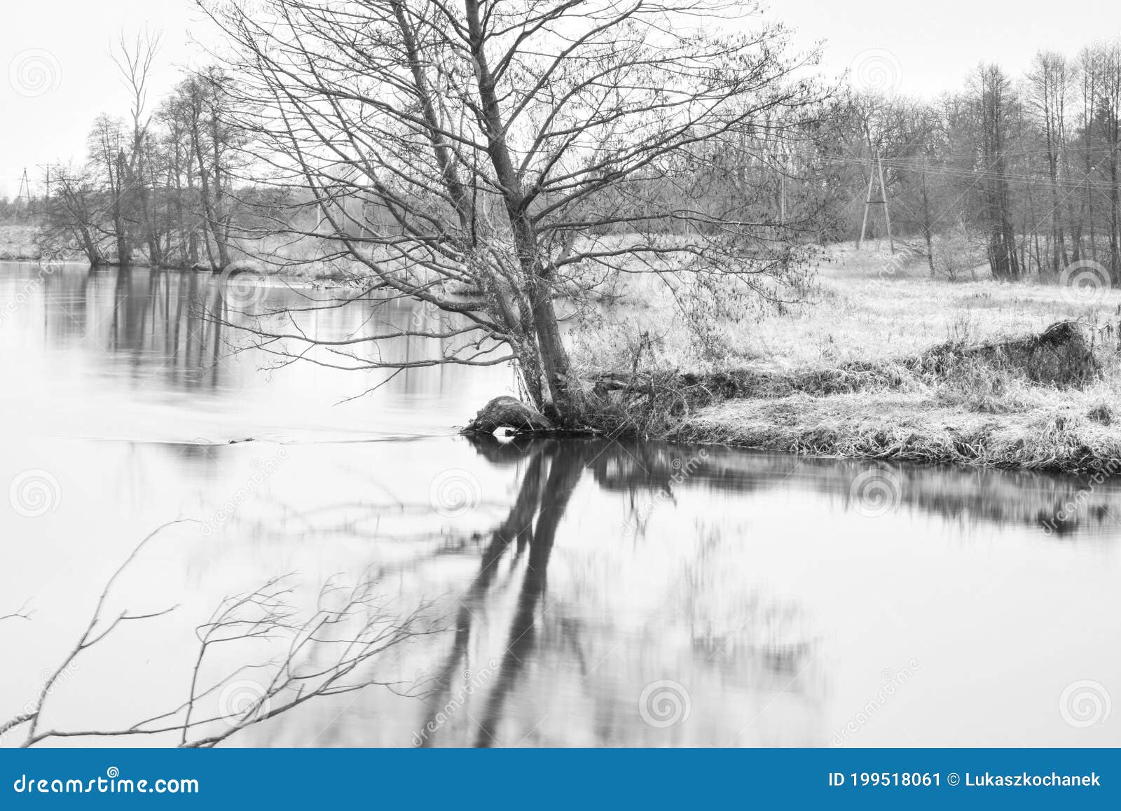 Falling Tree Next To a River Stock Image - Image of shape, landscape ...