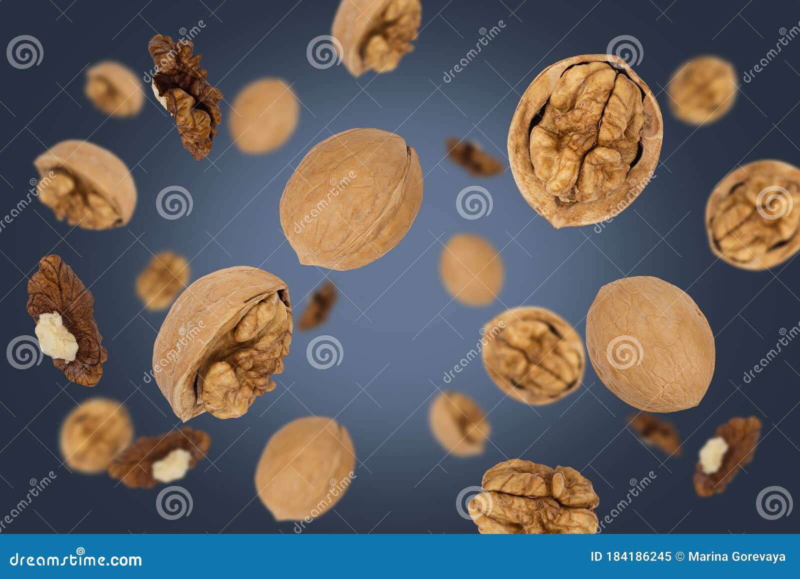 Falling Walnuts Isolated on a Dark Background with Clipping Path As ...