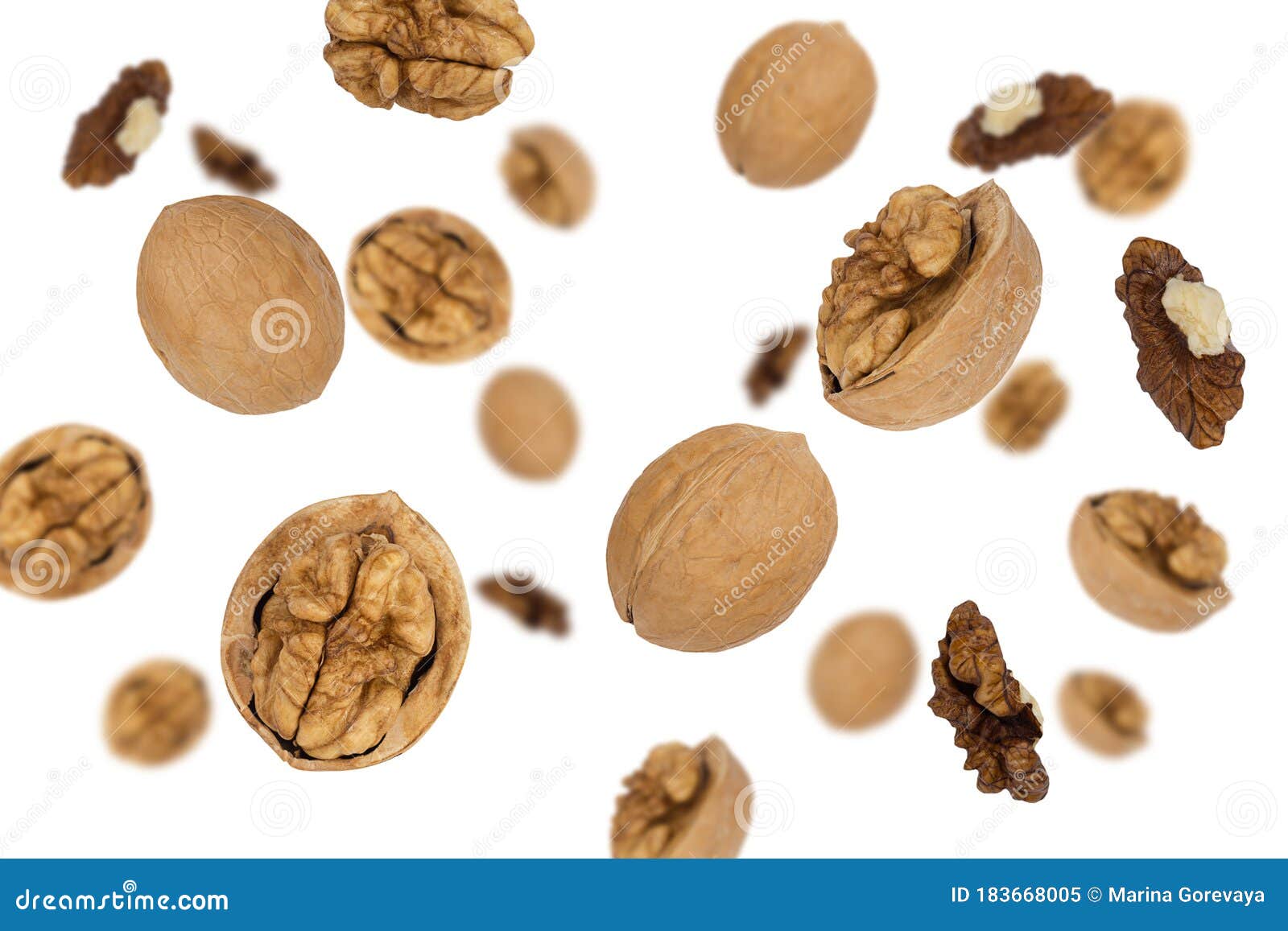 Falling Walnuts Isolated on a White Background with Clipping Path As ...