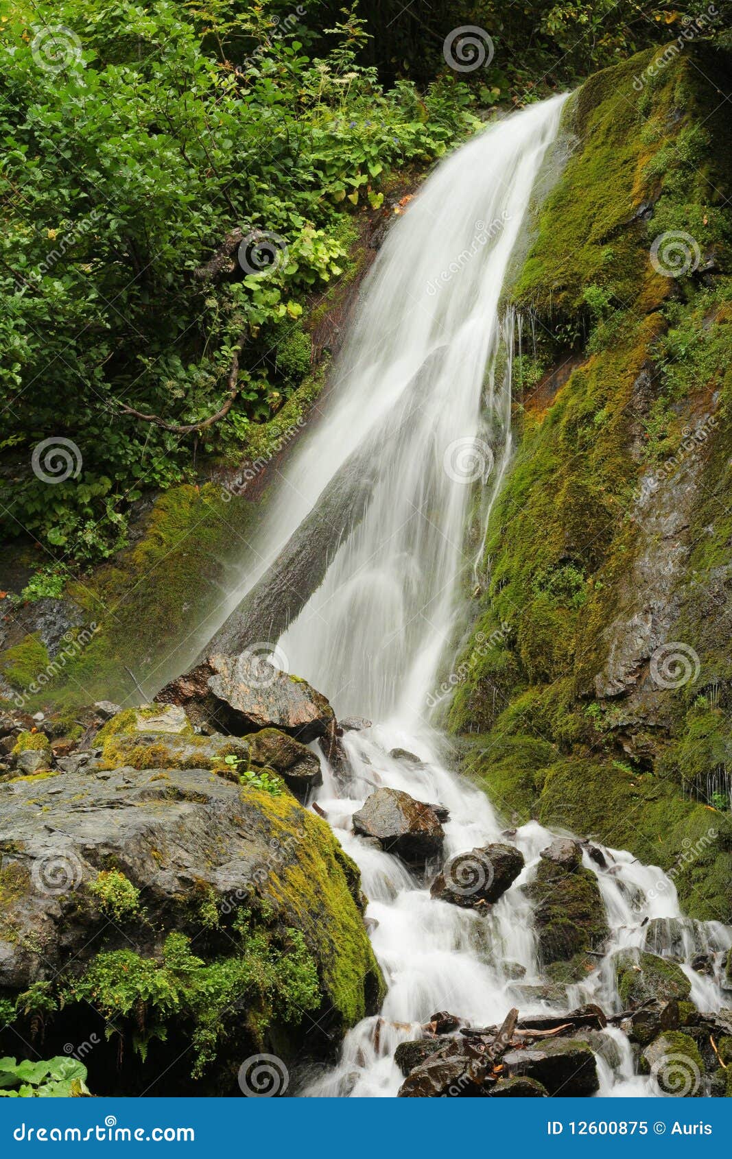Falling water stock image. Image of leaf, tree, beauty - 12600875