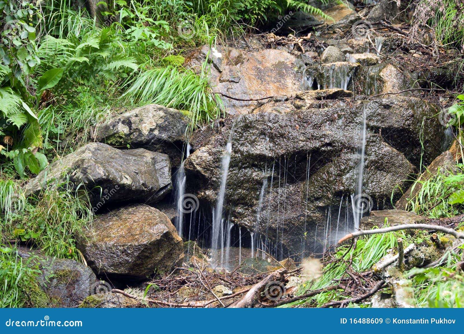Falling Water stock image. Image of landscape, fern, land - 16488609