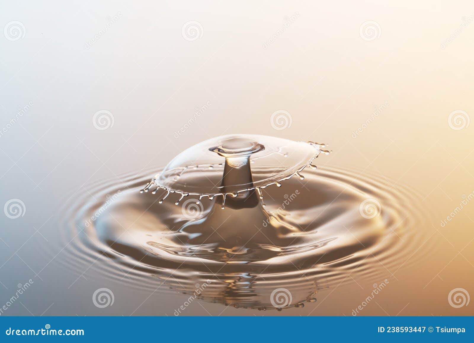 Falling water drop stock image. Image of drip, transparent - 238593447