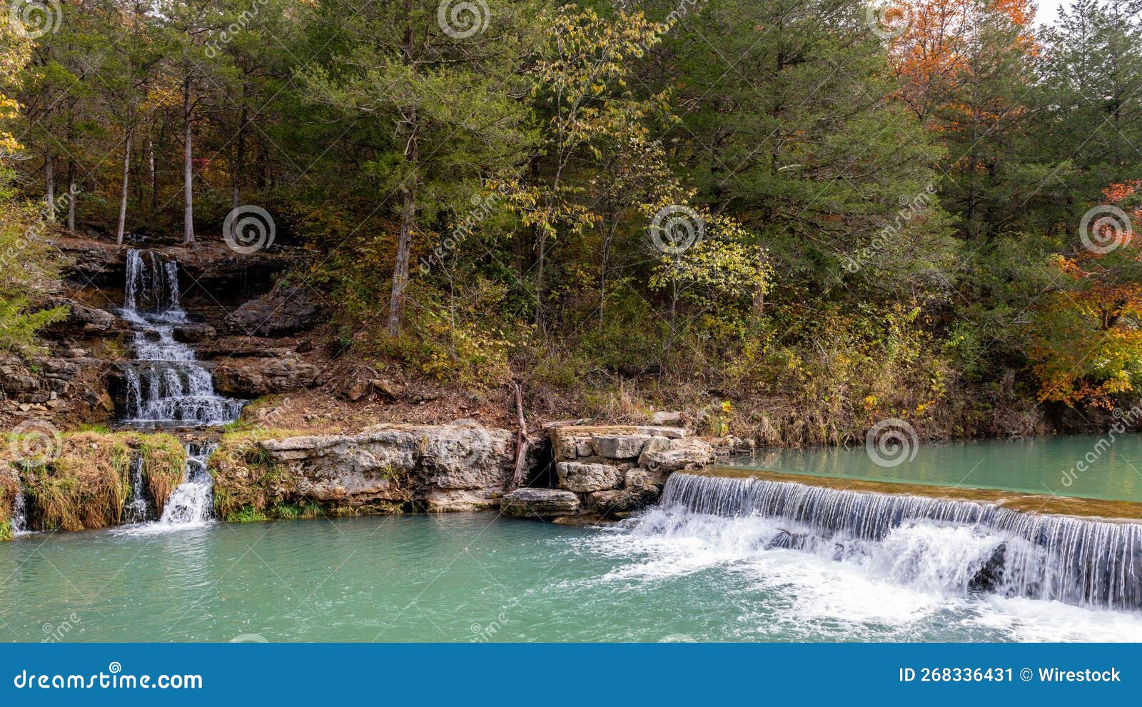 Falling Waterfall Surrounded by Dense Trees Stock Image - Image of ...