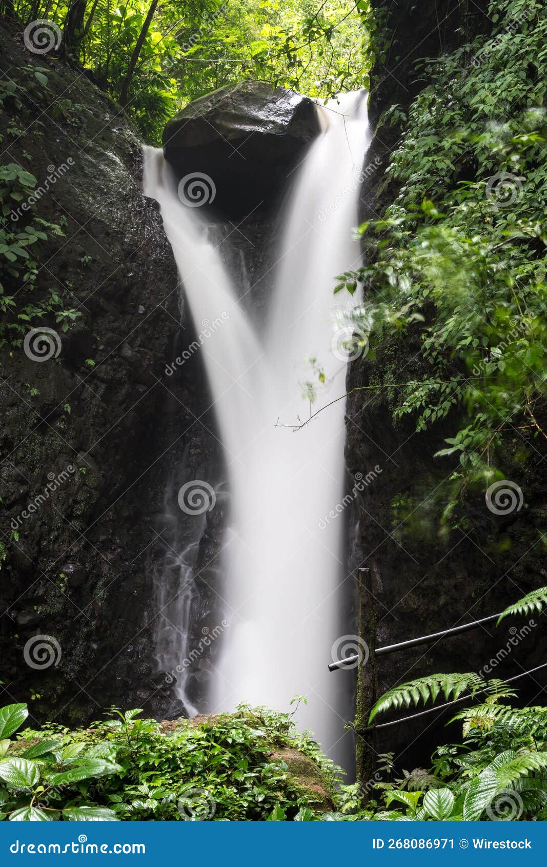 Falling Waterfall Surrounded by Trees Stock Image - Image of vertical ...