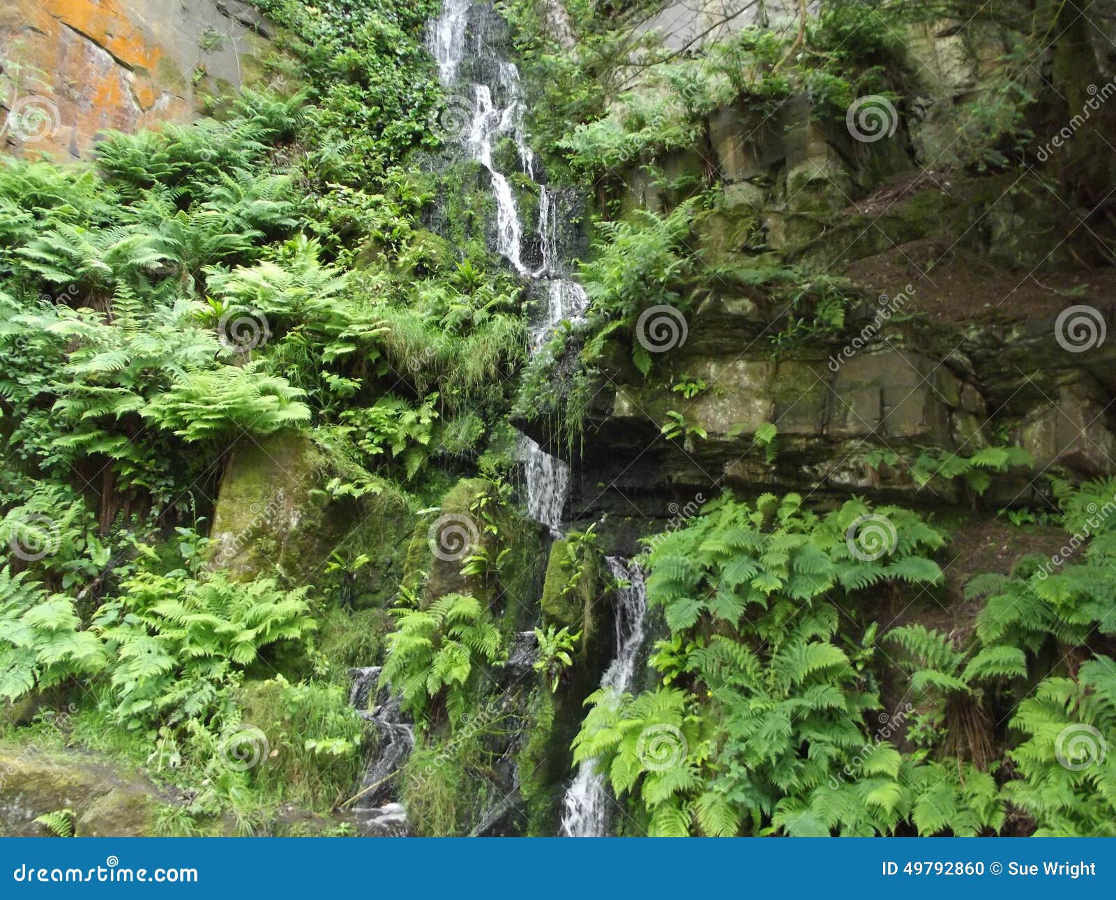FALLING WATERS stock photo. Image of fall, park, rocks - 49792860