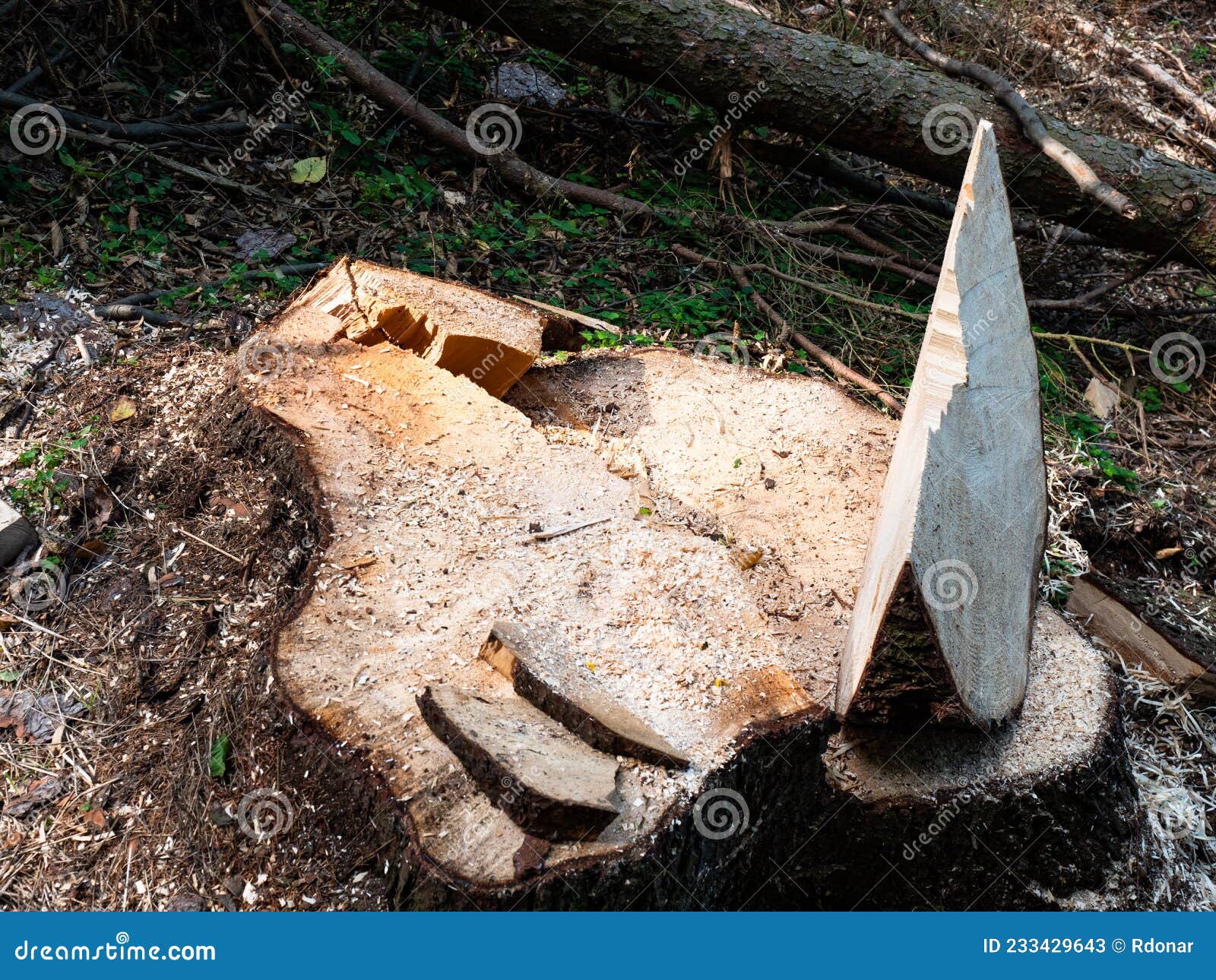 Falling Wedge Burst after Prolonged Heavy Use in Logging Stock Image ...
