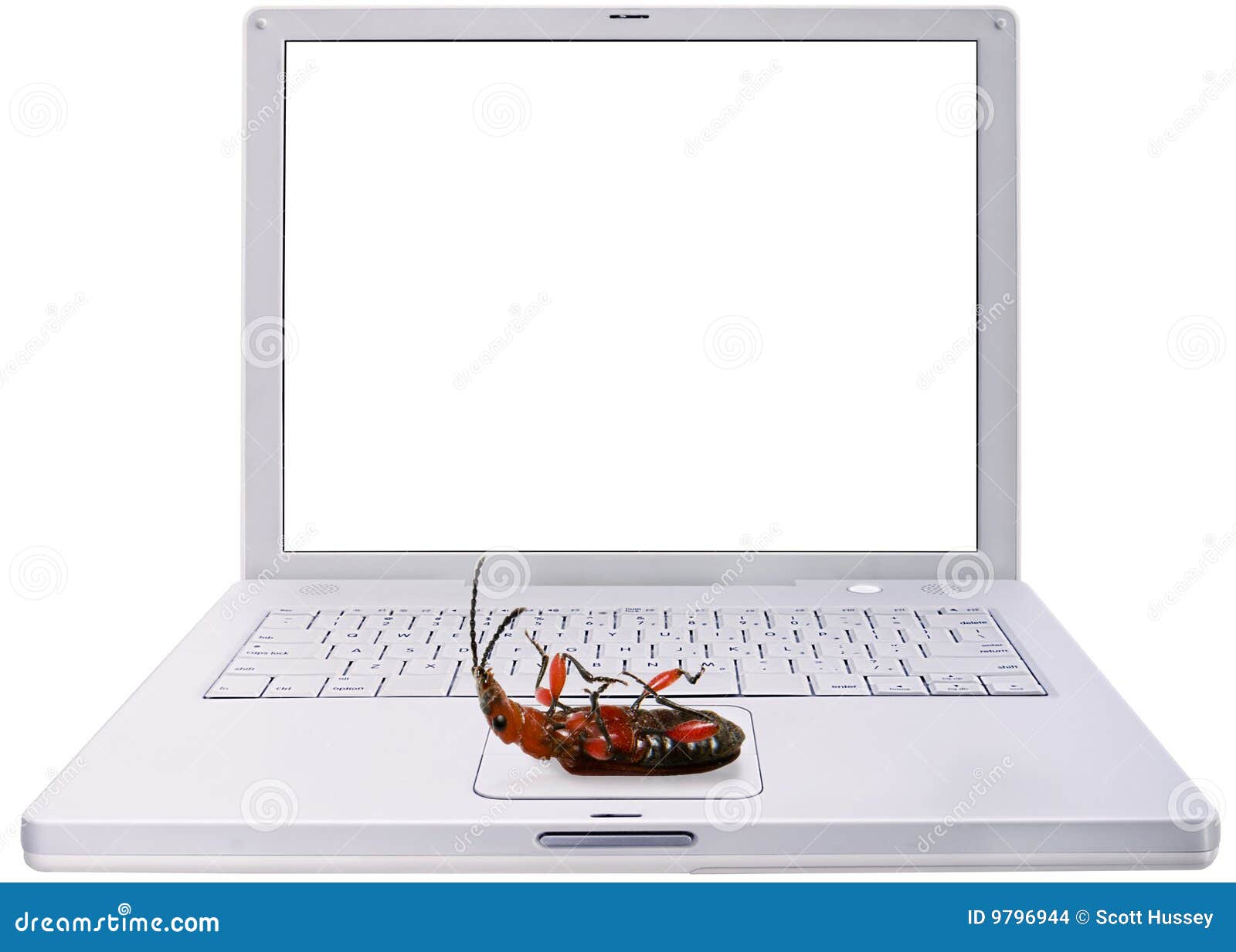 Fallo De Funcionamiento Muerto En Una Computadora Portátil Foto de ...