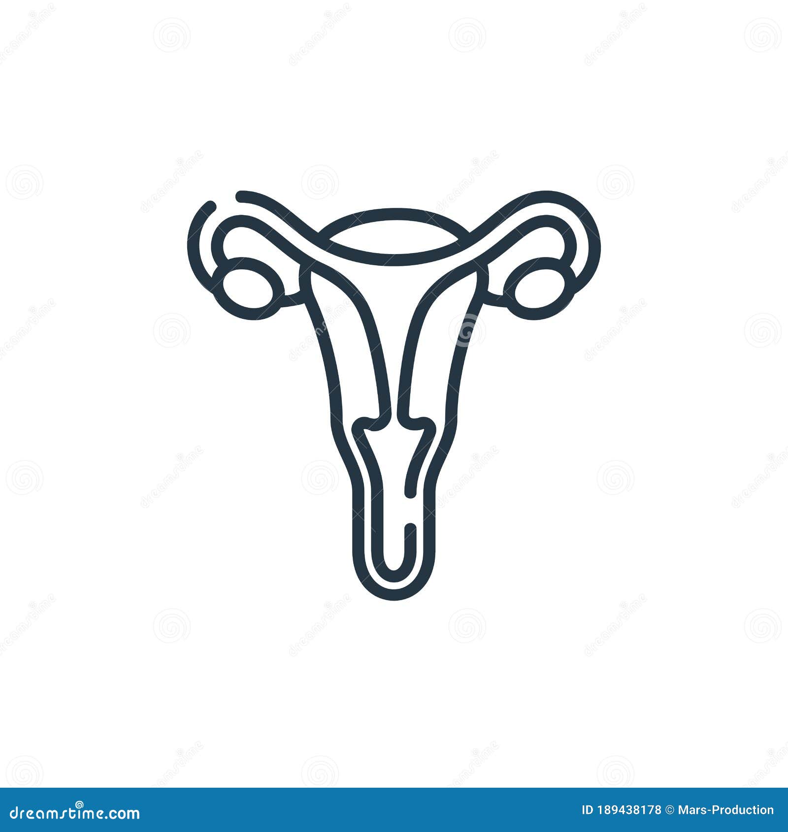 Fallopian Tubes. Doctor Examining Fallopian Tubes Using Magnifying ...
