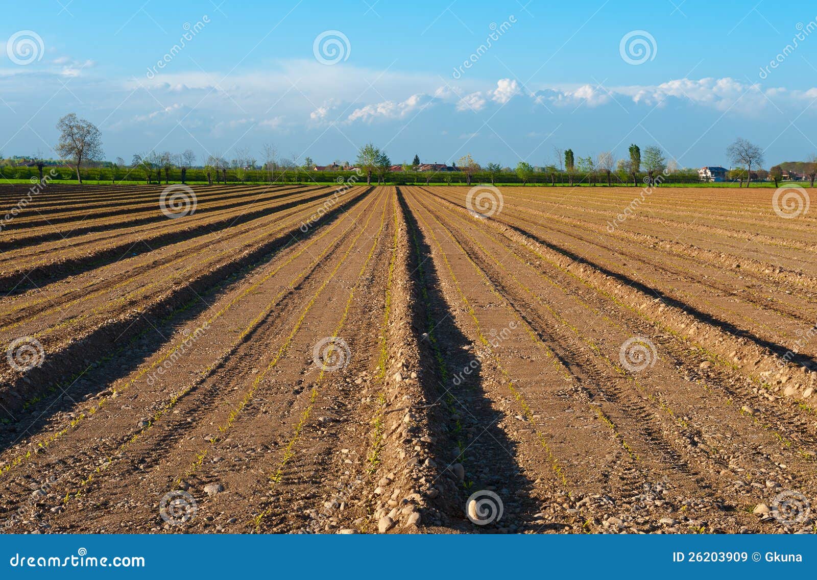 Fallow stock image. Image of ground, outdoor, agriculture - 26203909