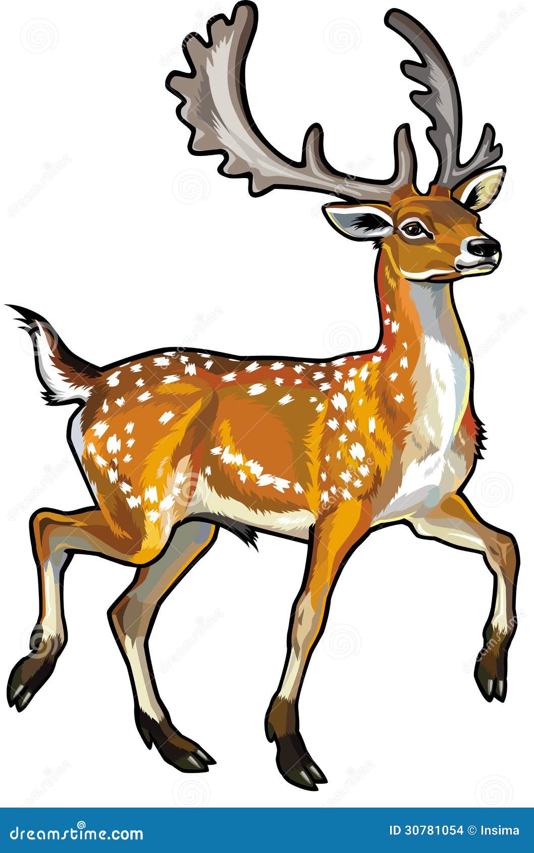 Fallow deer stock vector. Illustration of asia, beautiful - 30781054