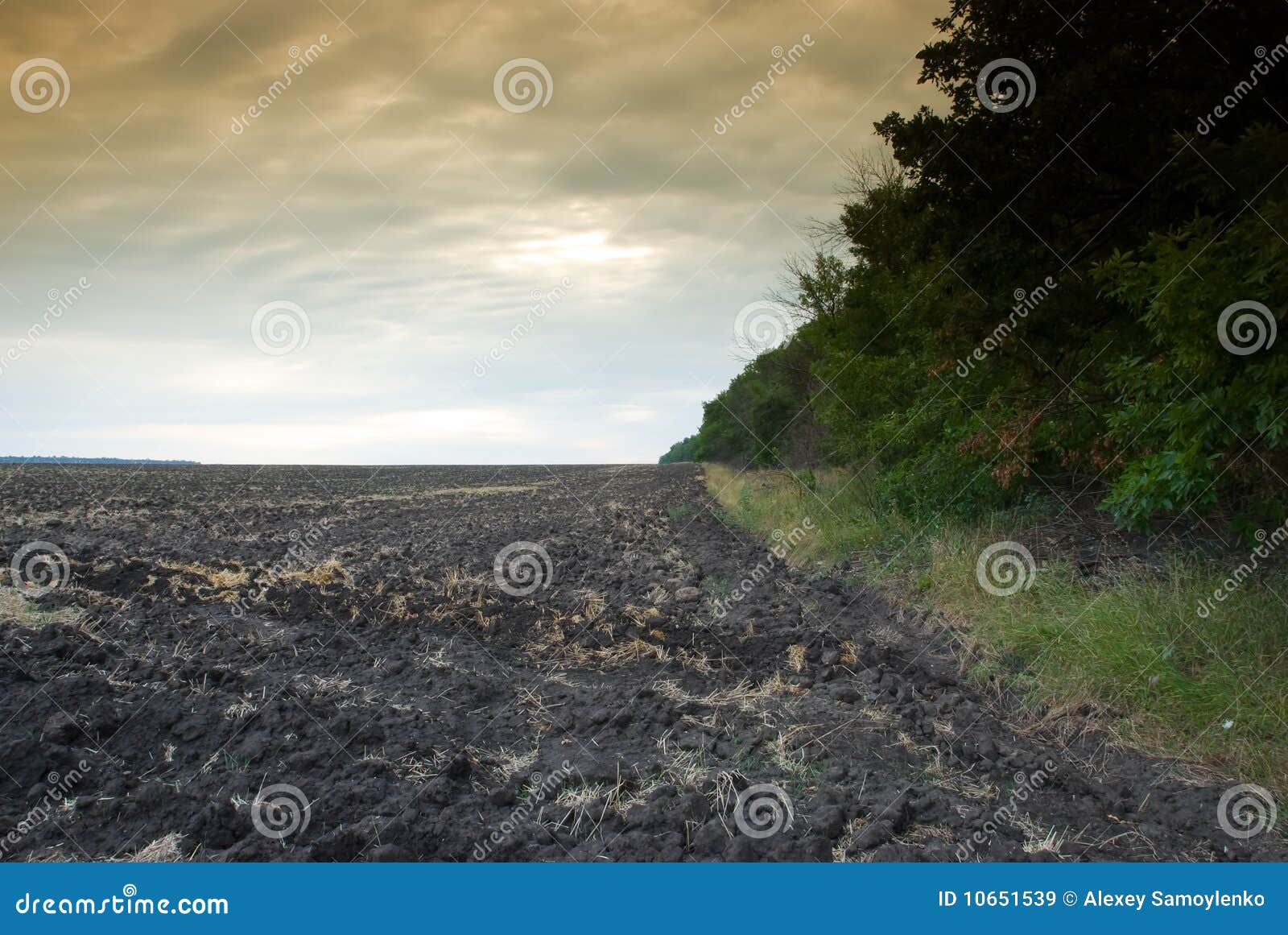 Fallow farming field stock image. Image of view, ploughed - 10651539