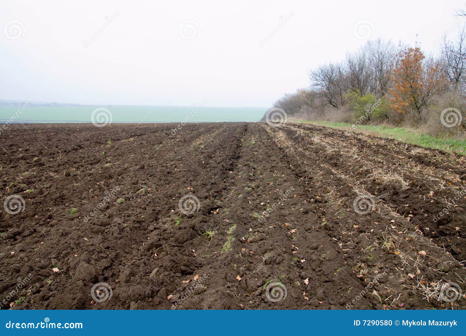 Fallow field stock photo. Image of crop, land, drought - 7290580