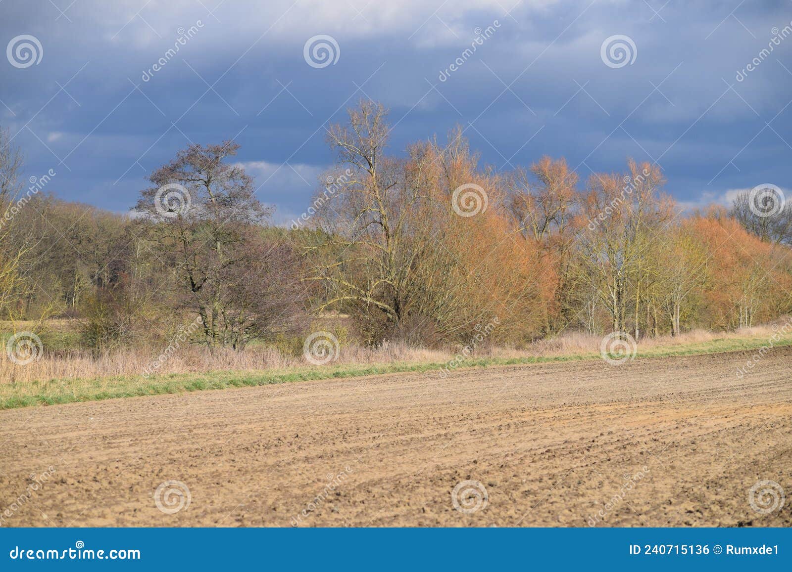 A Fallow Field at the Edge of the Forest Stock Photo - Image of bare ...