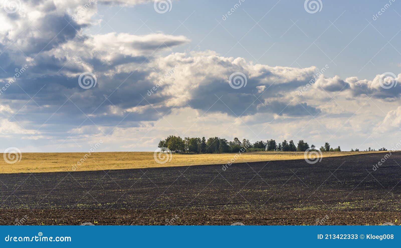 Fallow Field and Forest stock image. Image of pine, solitude - 213422333