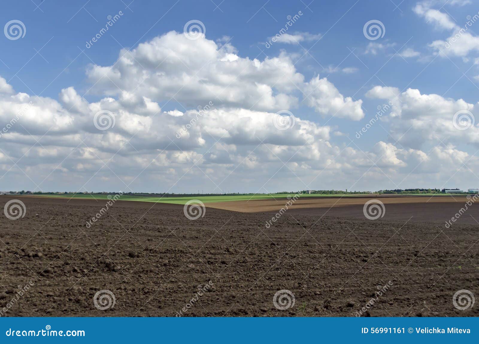 The Fallow Field with Look Toward Corn Field Stock Image - Image of ...