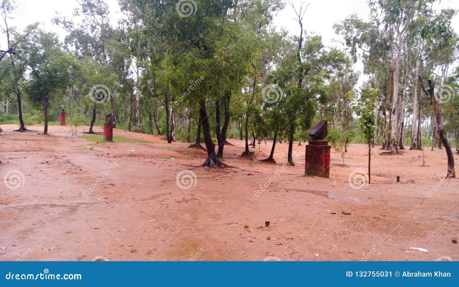 Fallow land stock image. Image of soil, fallow, west - 132755031