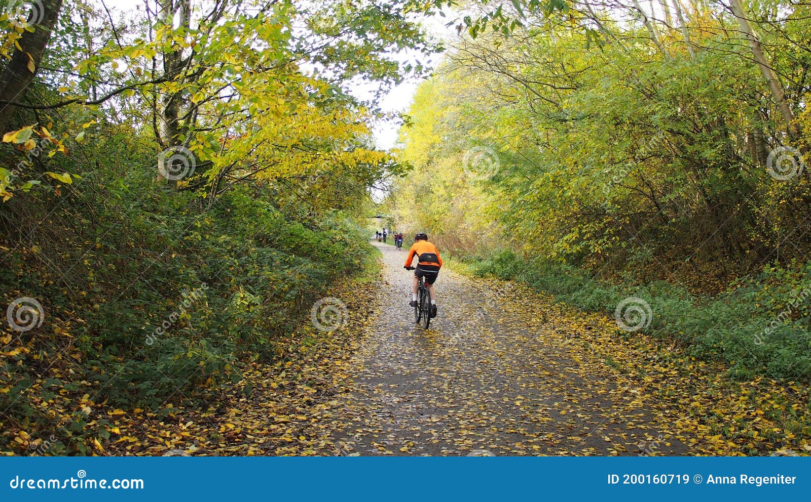 The Fallowfield Loop in Manchester, Great Britain Editorial Stock Image ...