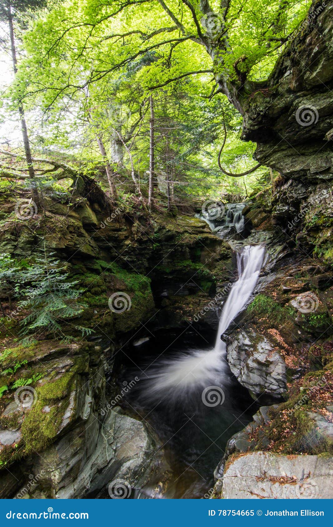 Falls of Acharn stock image. Image of trees, acharn, falls - 78754665