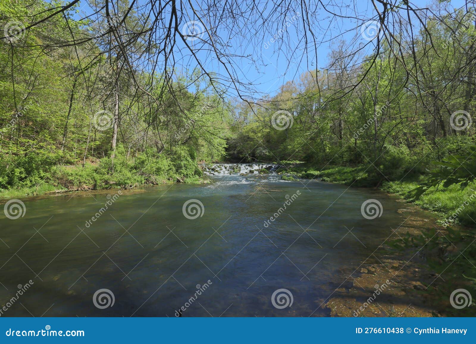 Falls on the Meramec River stock photo. Image of tree - 276610438