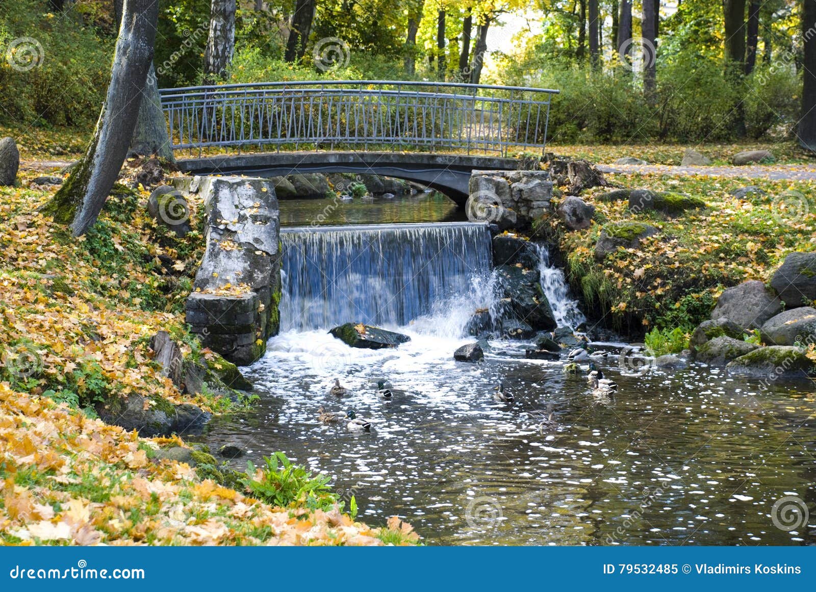 Falls in Park in the Autumn Stock Image - Image of tree, clean: 79532485