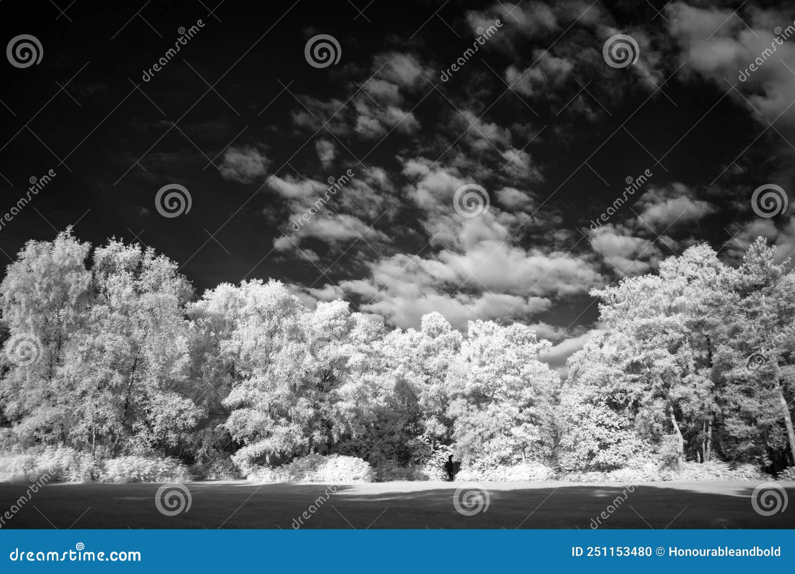 False Colour Infrared Forest Landscape Image in Summer Stock Photo ...