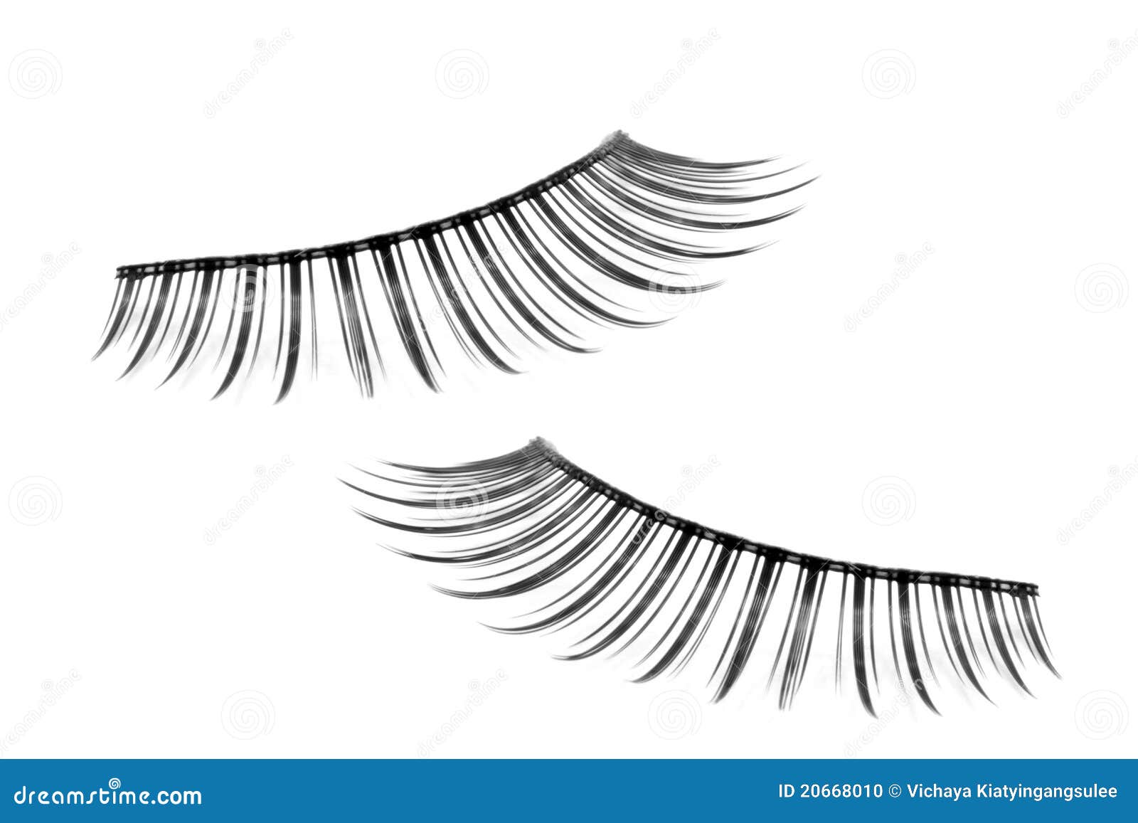 False eyelash stock photo. Image of accessory, isolated - 20668010