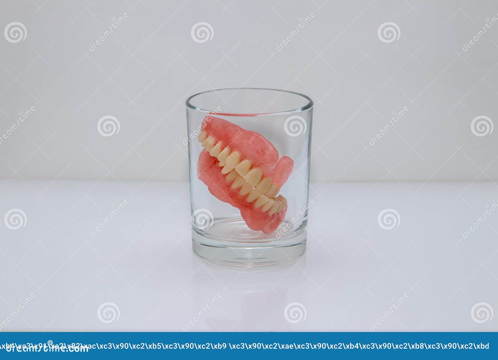 False jaw. stock image. Image of denture, mouth, orthodontist - 235503033