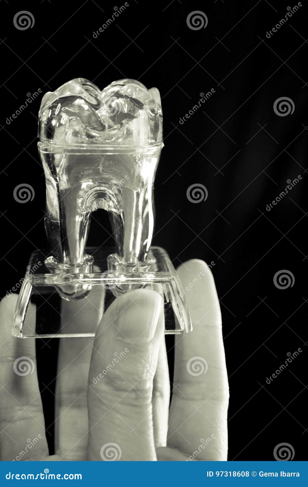 One False Plastic Tooth. Dental Prosthetics On A Background. Dentures ...