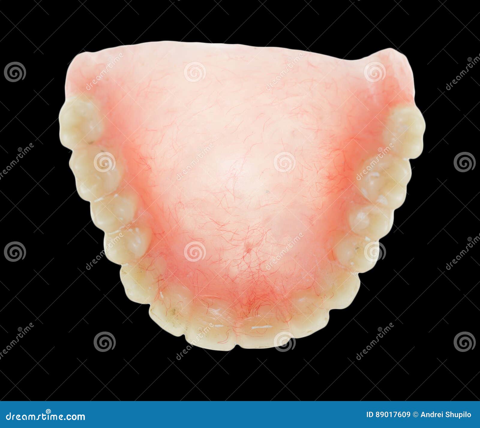 False Teeth on a Black Background Stock Image - Image of background ...