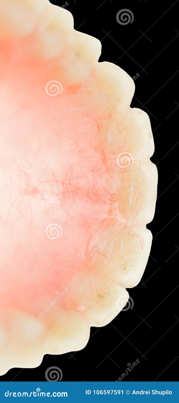 False Teeth on a Black Background Stock Image - Image of clipping ...