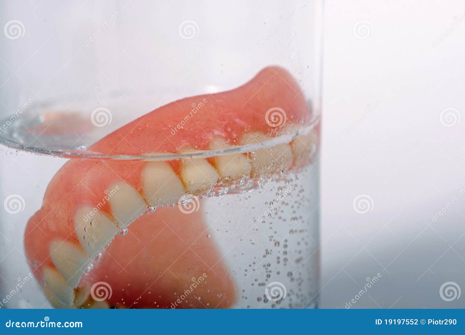 False teeth in glass stock photo. Image of glass, medicine - 19197552