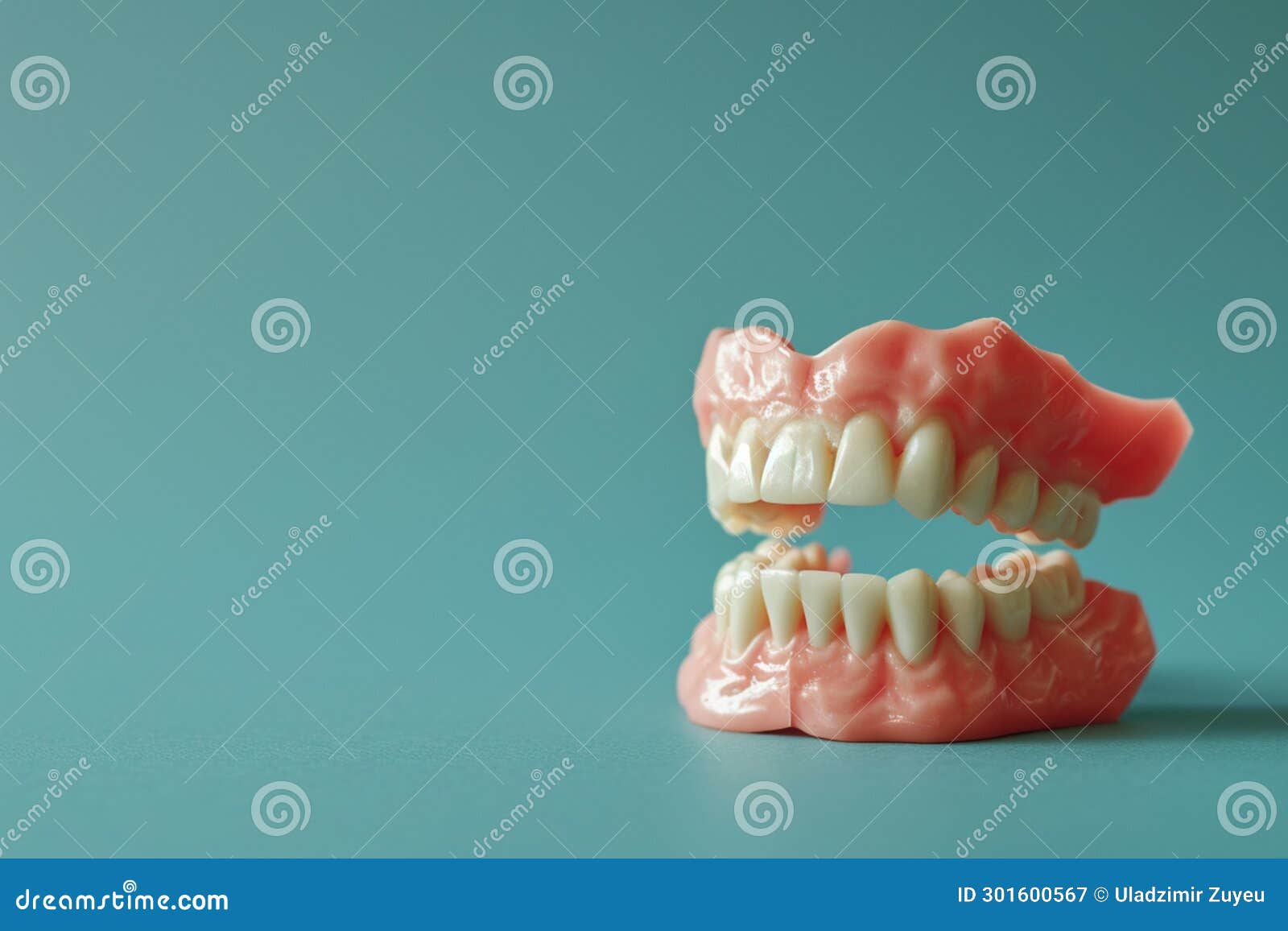 False teeth and jaw stock image. Image of toothless - 301600567