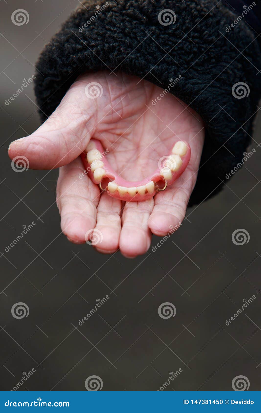 False teeth in old hands stock photo. Image of plastic - 147381450