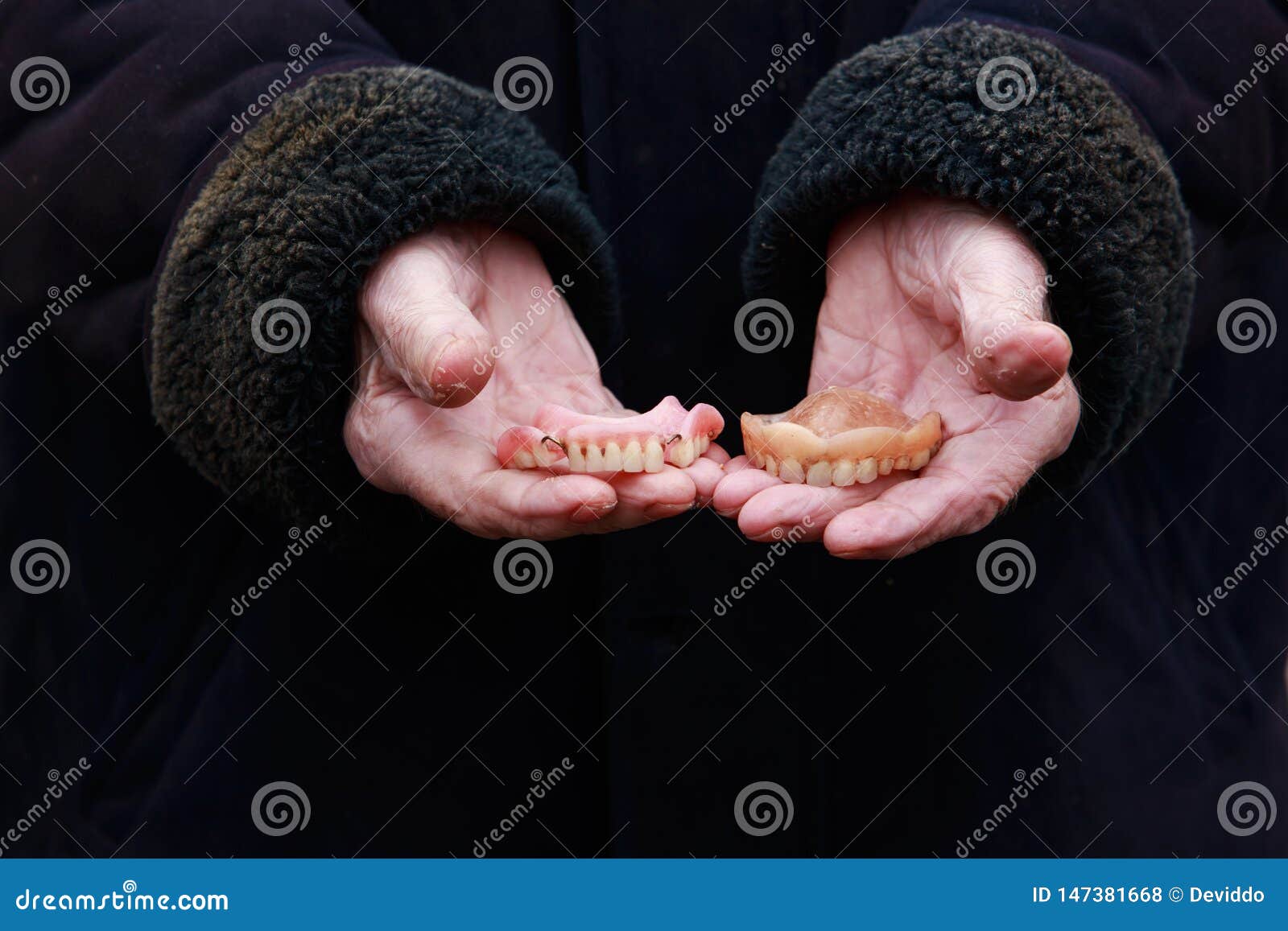 False teeth in old hands stock photo. Image of false - 147381668