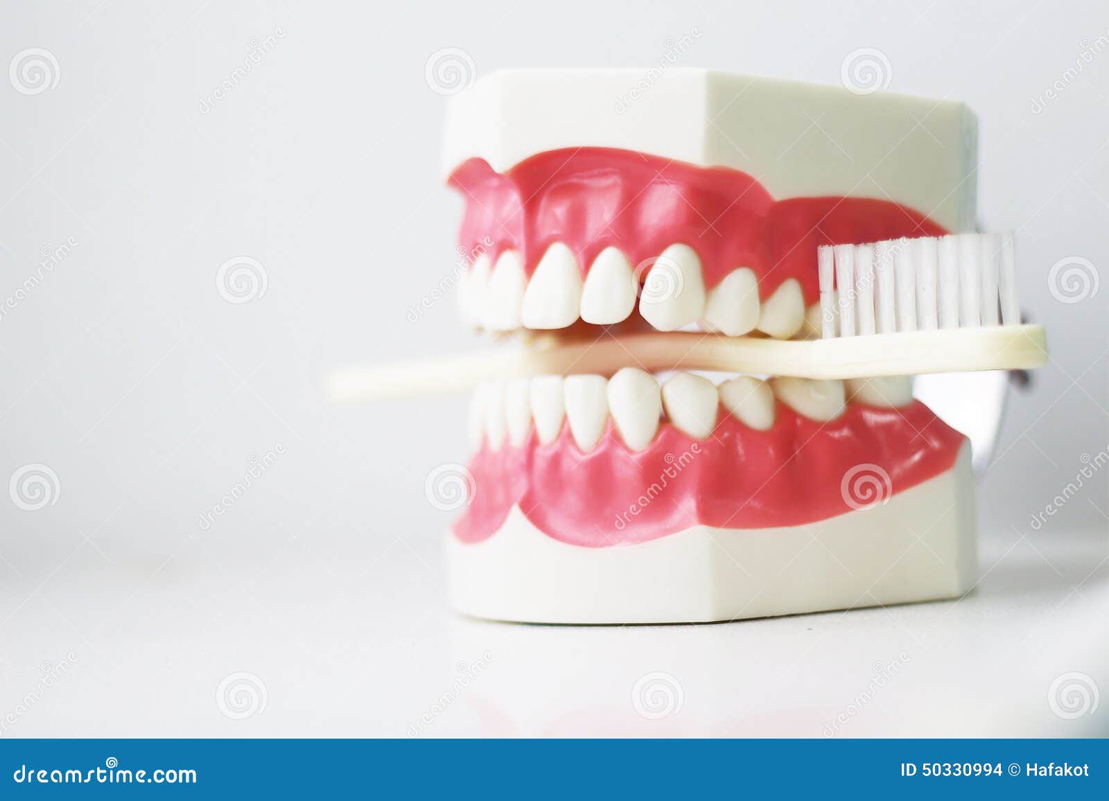 False Teeth Prosthetic Biting Toothbrush on White Stock Photo - Image ...