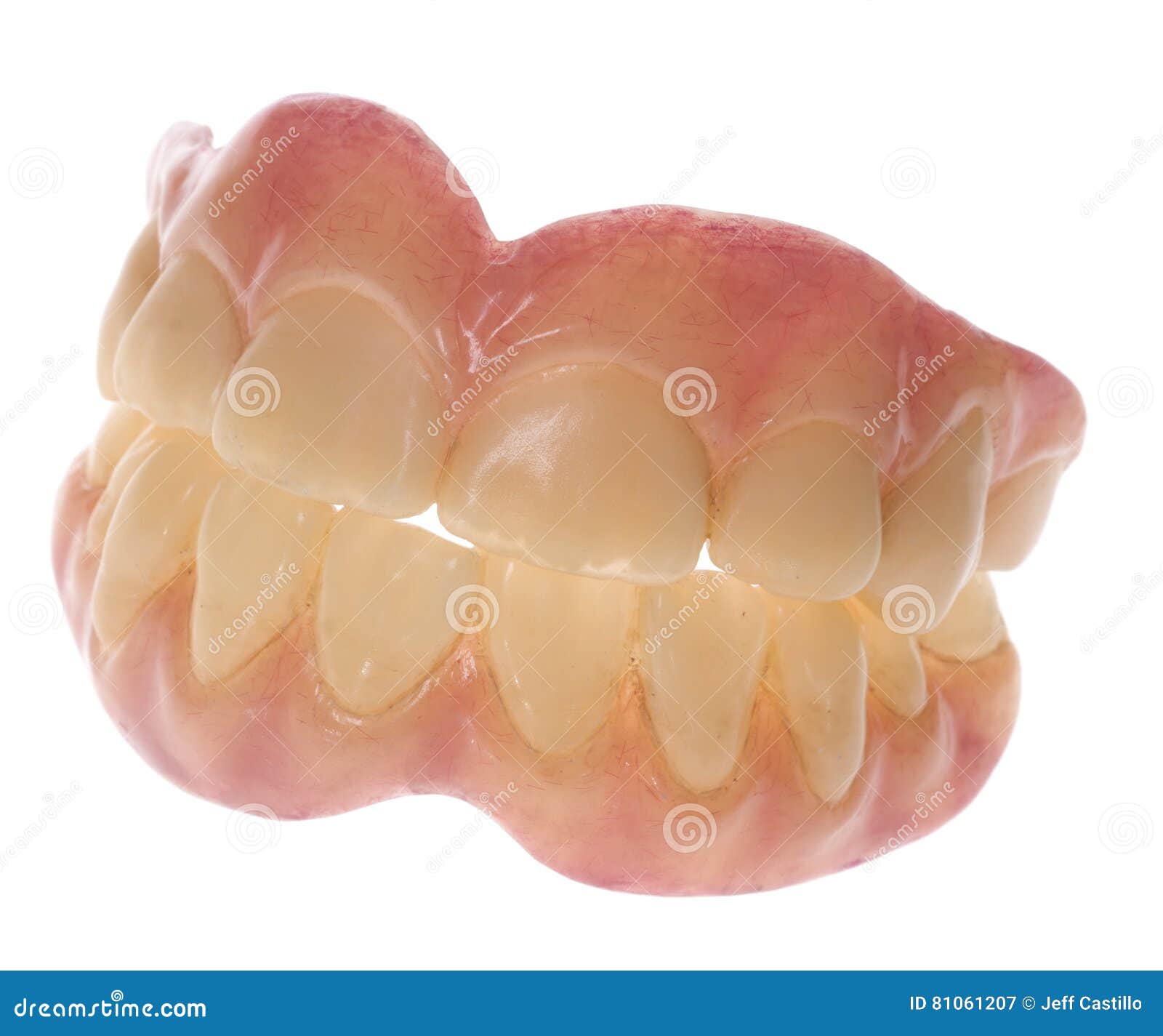 False Teeth stock image. Image of oral, cutout, background - 81061207