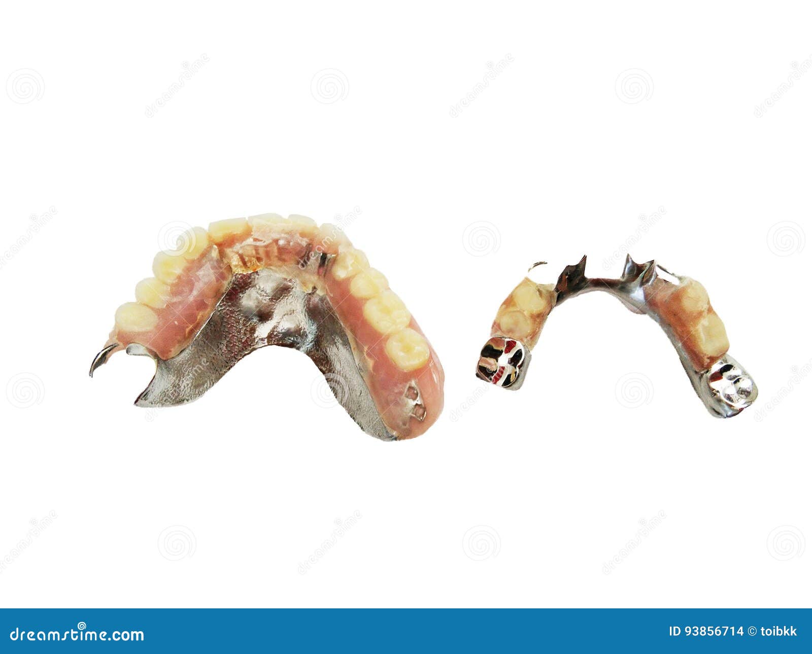 False teeth stock photo. Image of molar, healthcare, plastic - 93856714