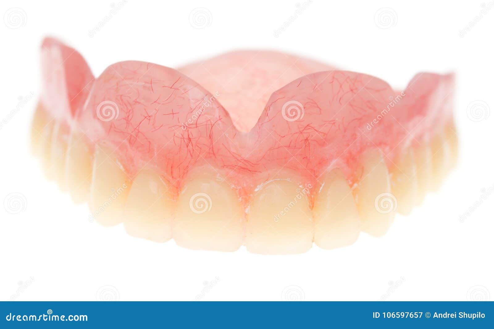 False Teeth on a White Background Stock Image - Image of mouth ...