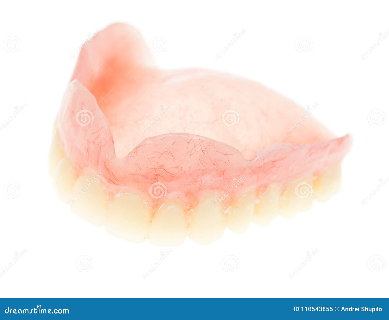 False Teeth on a White Background Stock Image - Image of healthy ...