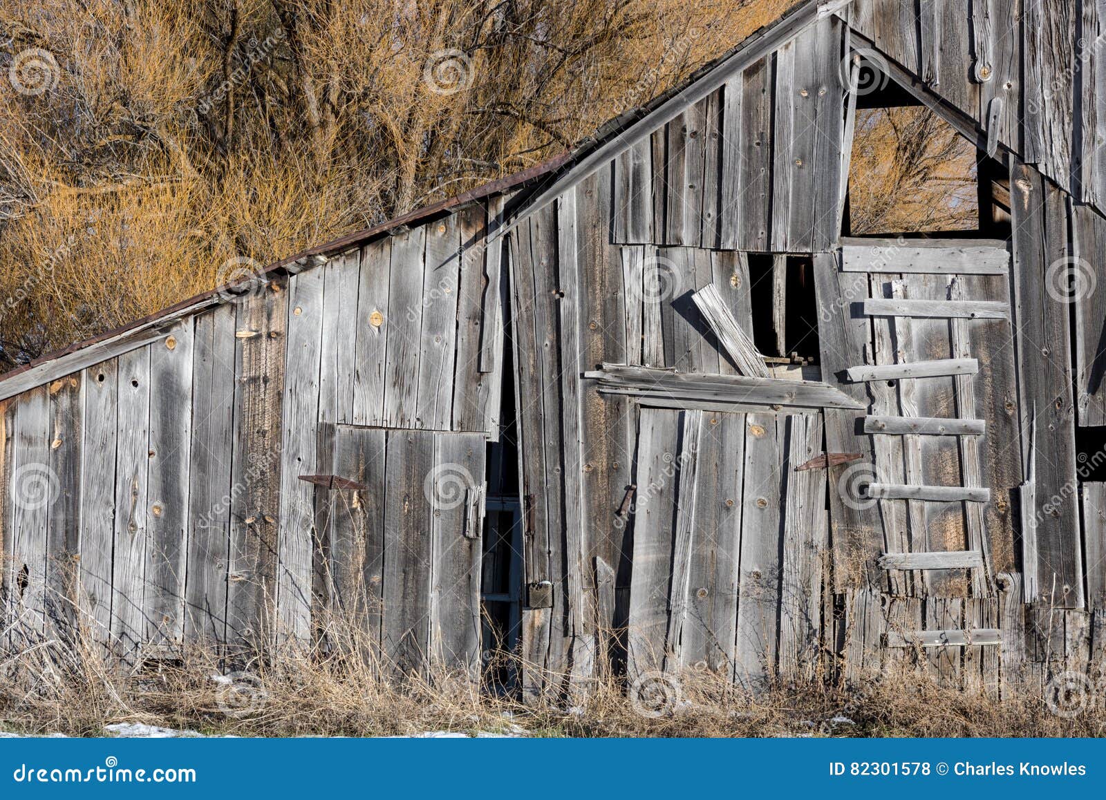 Famers Rustic Old Barn with Willow Tree Stock Photo - Image of farm ...