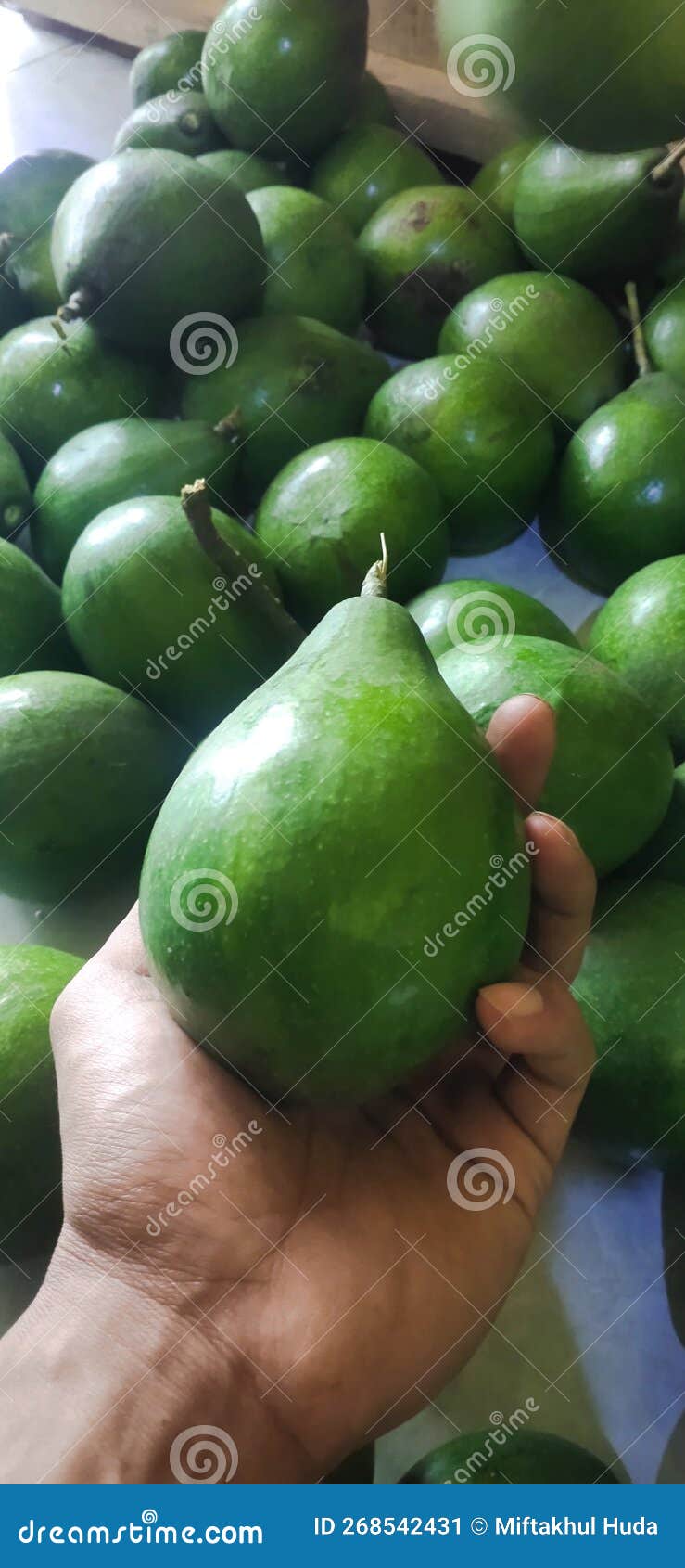 A Familiar Fruit, of Various Shapes, Its Name is the Avocado Fruit ...