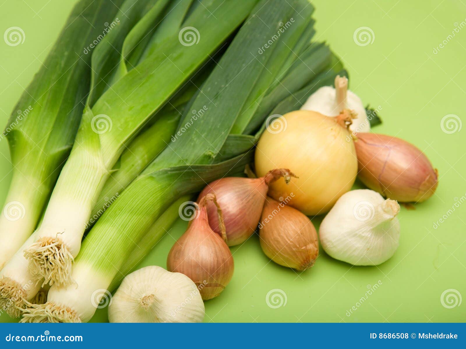Famille d'oignon photo stock. Image du fond, assaisonnement - 8686508