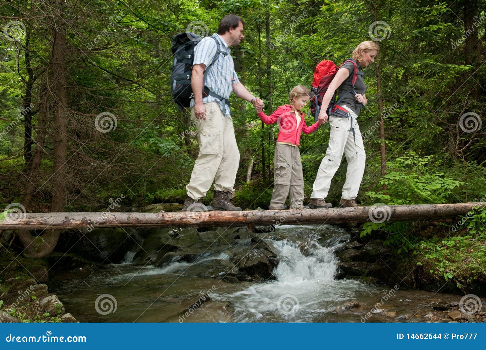 Family adventure stock photo. Image of journey, footbridge - 14662644
