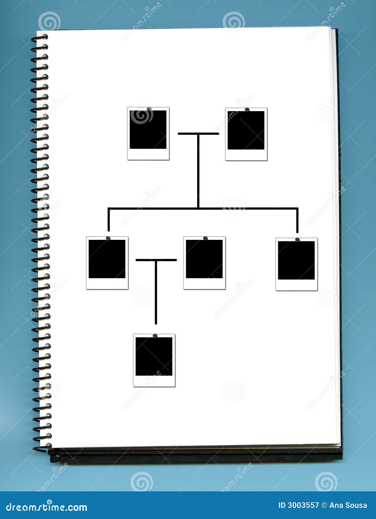 Family album stock image. Image of generations, memories - 3003557