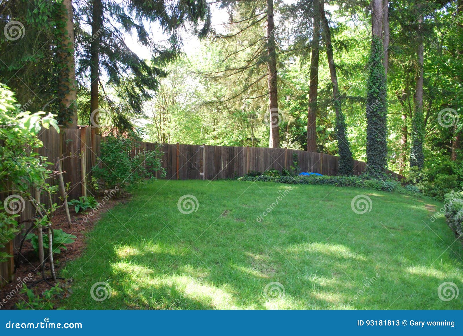 Family backyard stock image. Image of family, backyard - 93181813