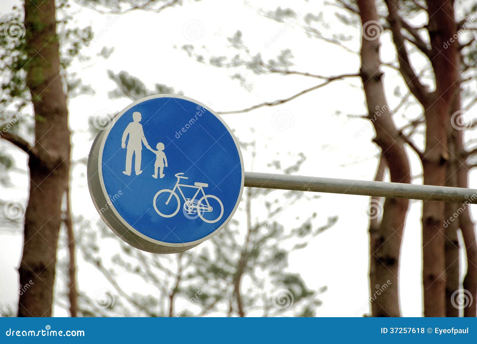 Family and Bicycle Traffic Sign in Blue Stock Photo - Image of pedal ...